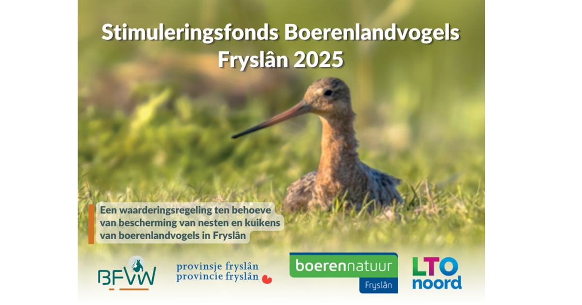 Stimuleringsfonds Boerenlandvogels Fryslân